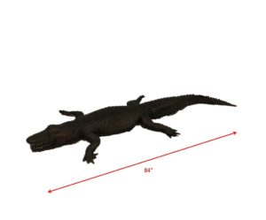 ALLIGATOR OR CROCODILE LIFE-LIKE FLEXIBLE PROP