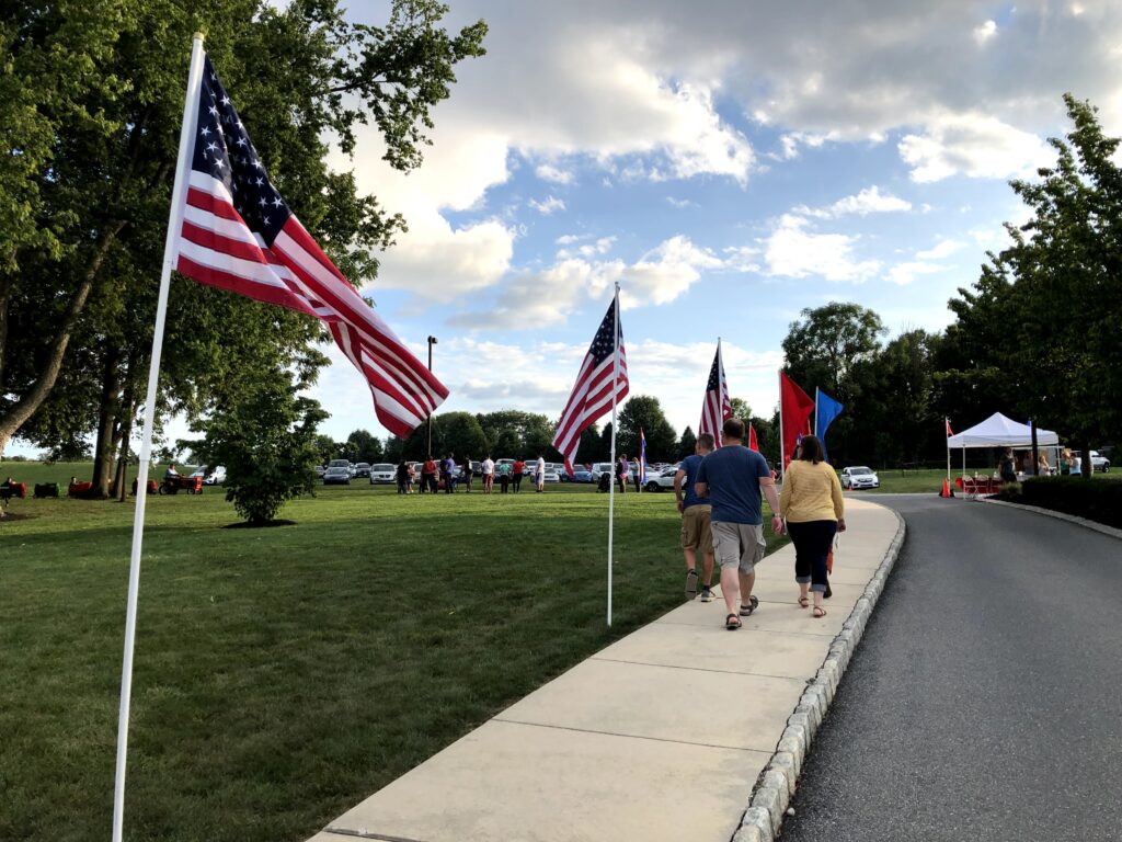 AMERICAN FLAGS SET OF 10 FLAGS
