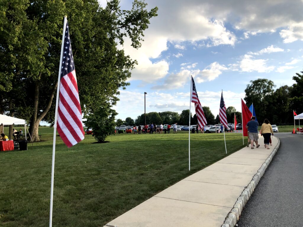 AMERICAN FLAGS SET OF 10 FLAGS