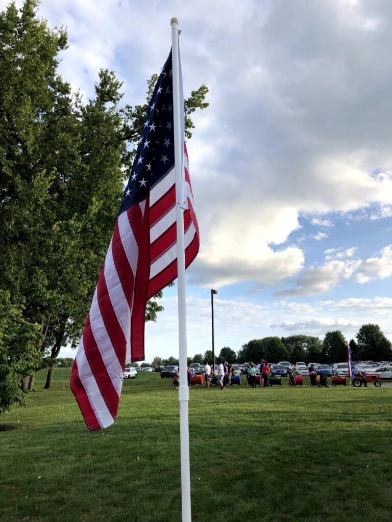 AMERICAN FLAGS SET OF 10 FLAGS