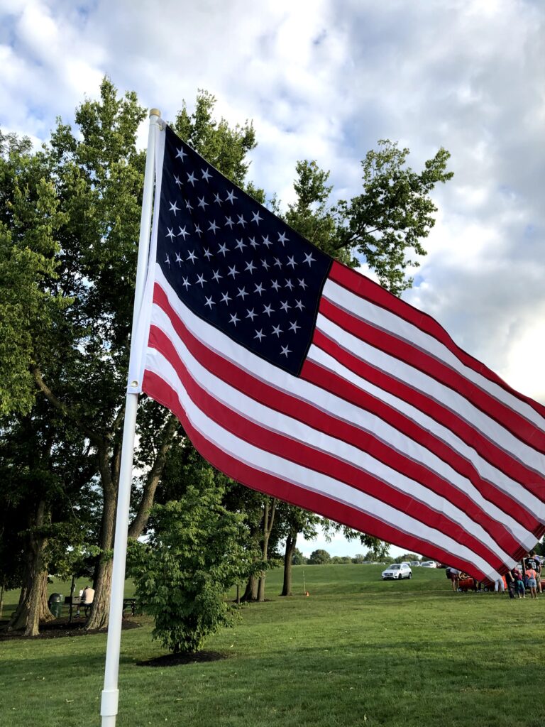 AMERICAN FLAGS SET OF 10 FLAGS
