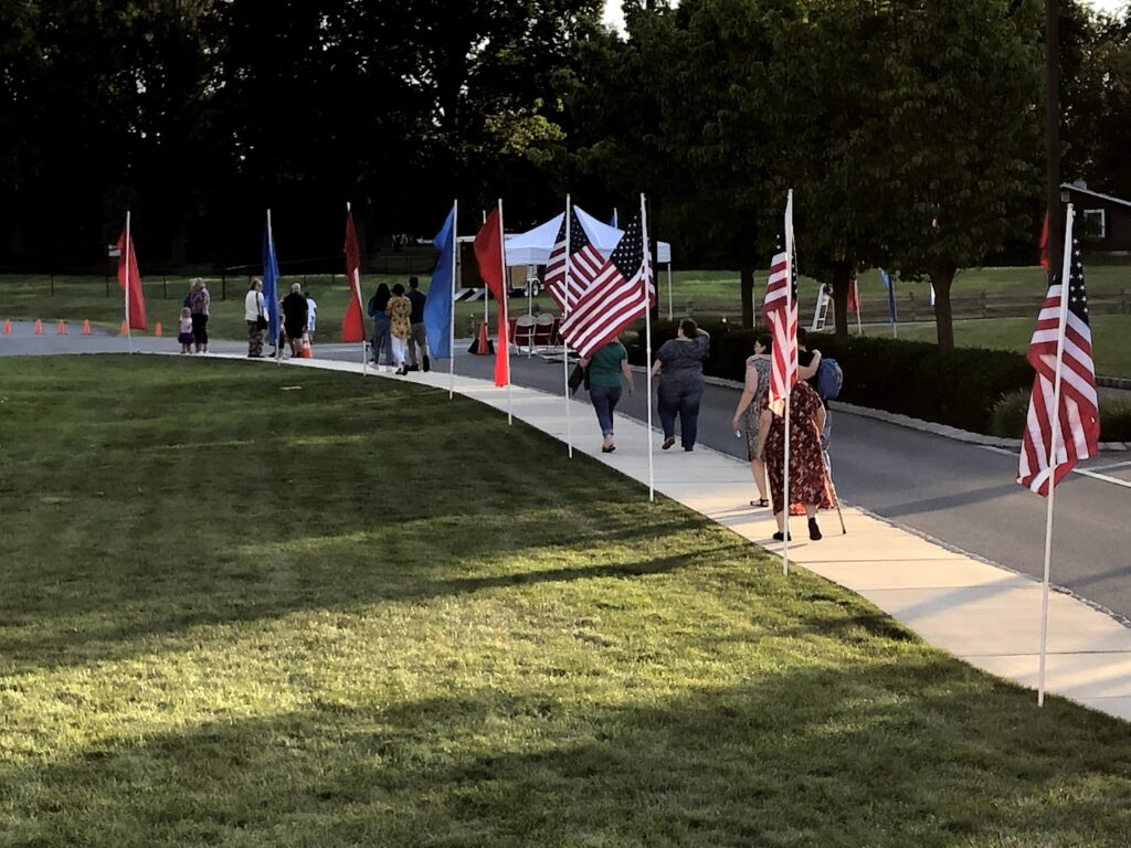 AMERICAN FLAGS SET OF 10 FLAGS