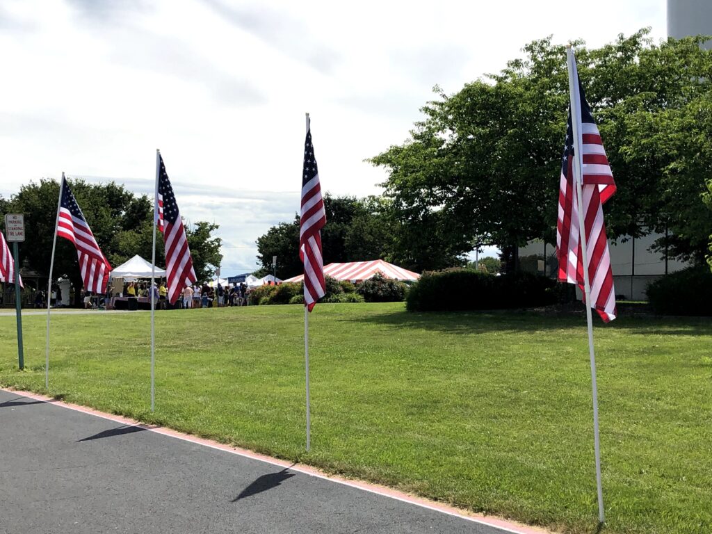 AMERICAN FLAGS SET OF 10 FLAGS
