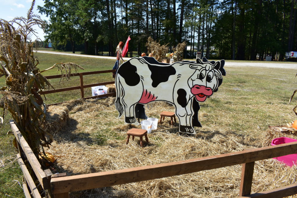 COW MILKING CONTEST GAME