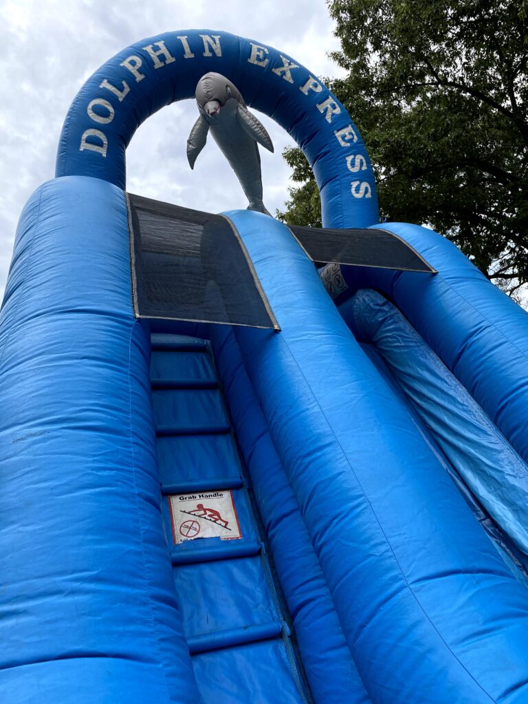 DOLPHIN EXPRESS WATER SLIDE 18 Feet