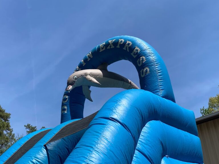 DOLPHIN EXPRESS WATER SLIDE 18 Feet