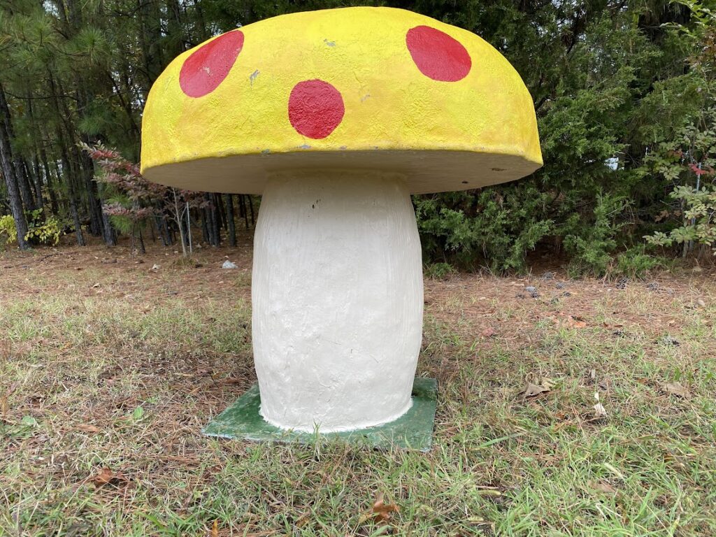 COLORFUL GIANT MUSHROOM PROP