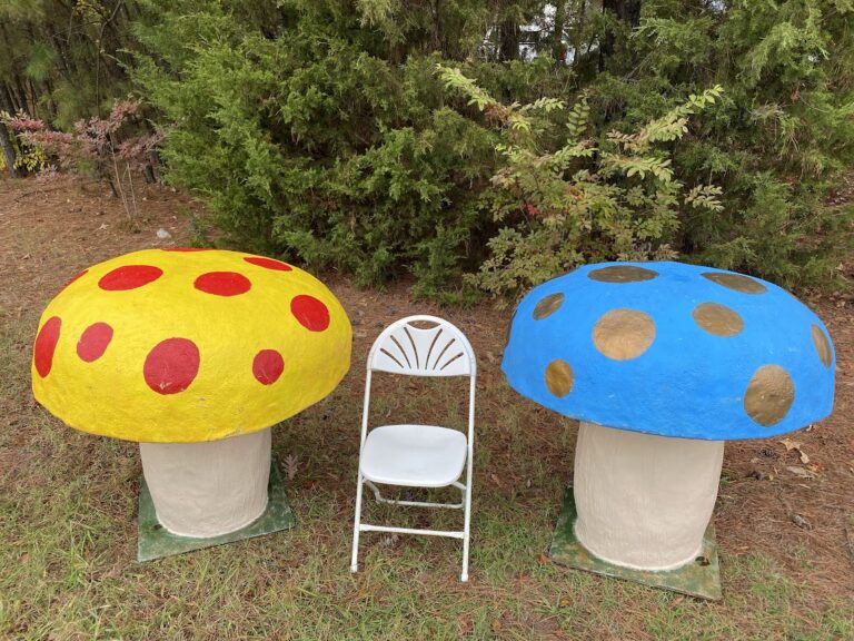 COLORFUL GIANT MUSHROOM PROP