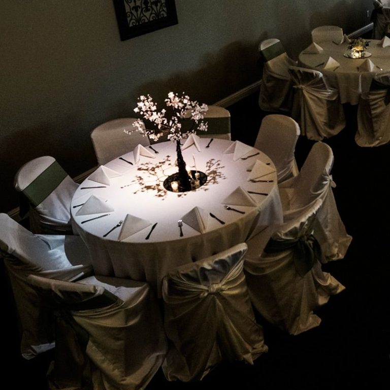 PINPOINT GO SPOT LED LIGHT