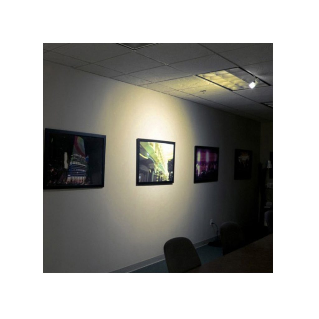 PINPOINT GO SPOT LED LIGHT