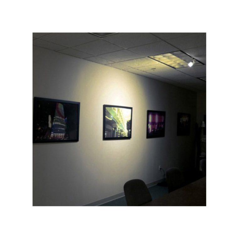 PINPOINT GO SPOT LED LIGHT