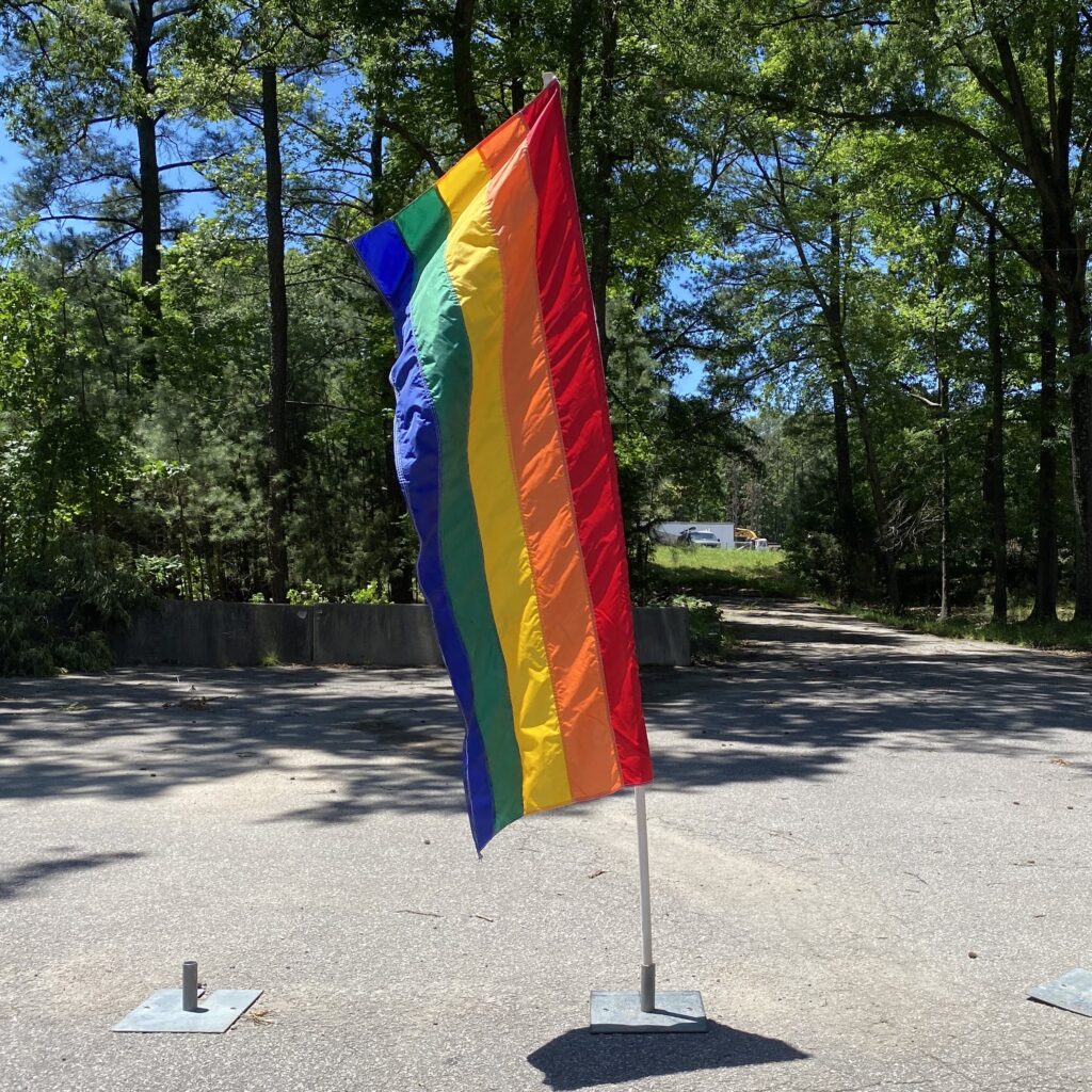 FESTIVAL VERTICAL FLAG – 3×8 ft RAINBOW PRIDE FLAG
