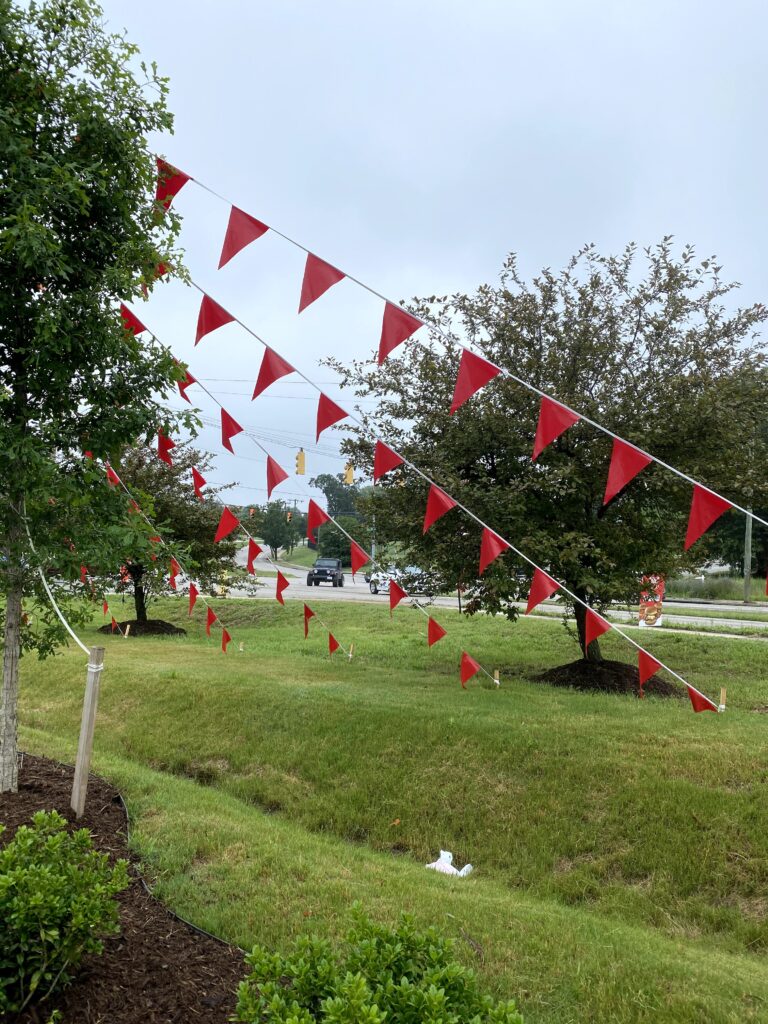 RED STRINGED PENNANT FLAGS