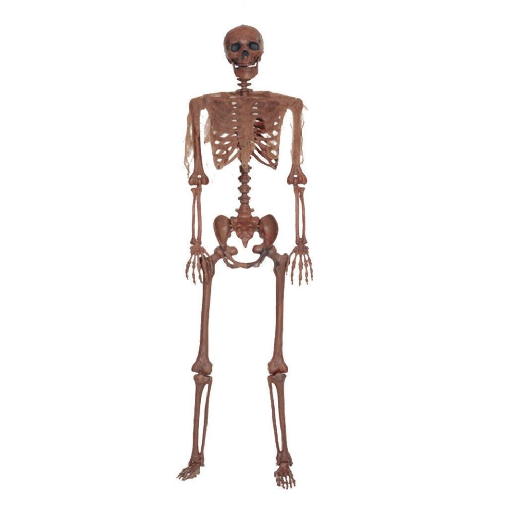 SKELETON LIFE-SIZE POSEABLE DECAYING BROWN COLOR