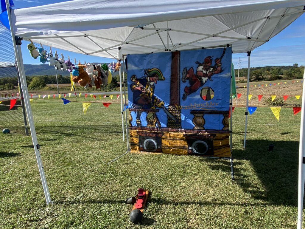 SWASHBUCKLER PIRATE CARNIVAL FRAME GAME