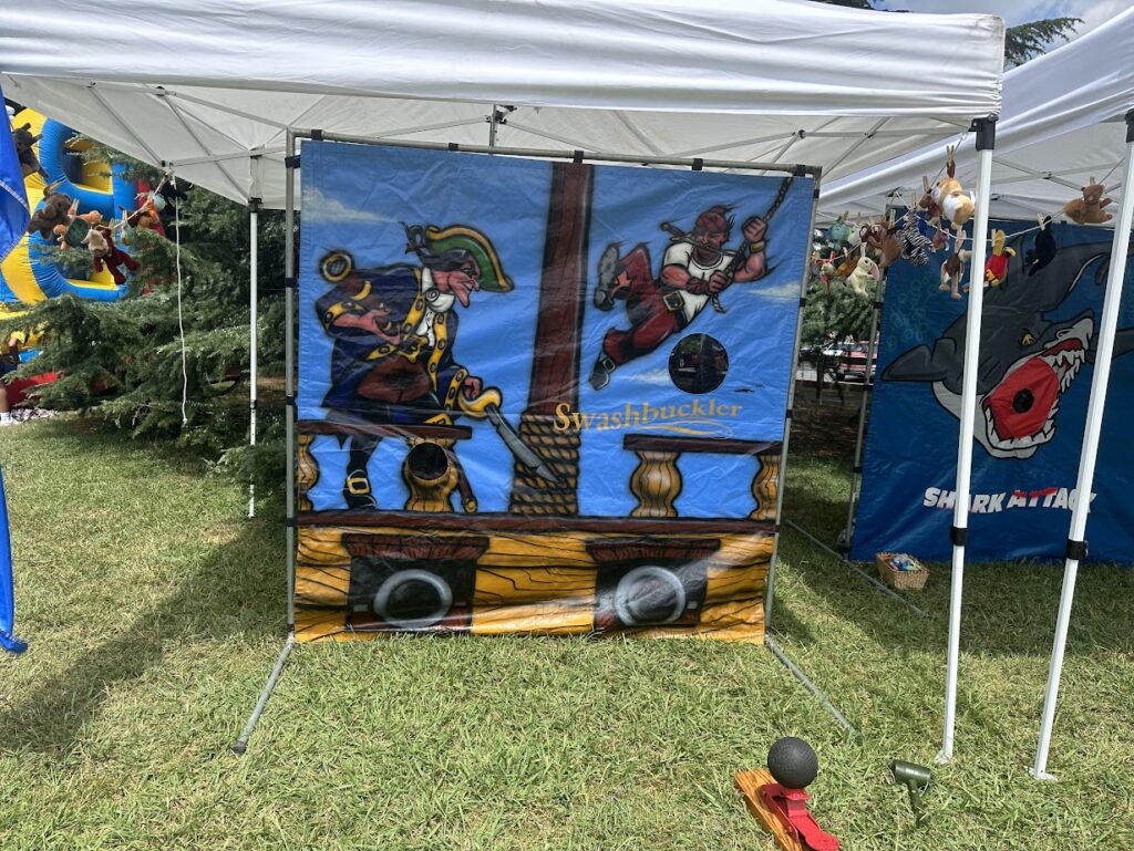 SWASHBUCKLER PIRATE CARNIVAL FRAME GAME