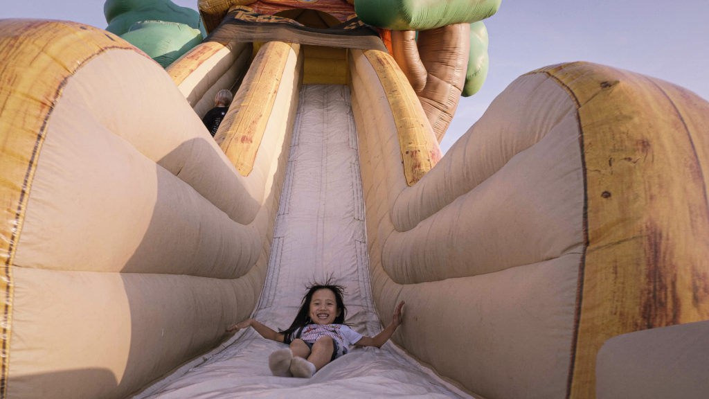 TREE HOUSE INFLATABLE SLIDE 32 feet – Call for pricing