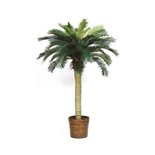 Tropical Palm Tree Prop Rental