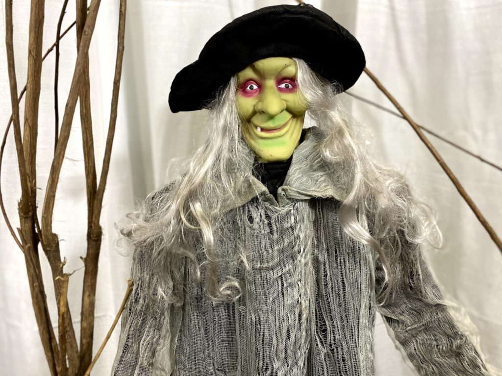 WITCH GRAY HAIR 5 FEET